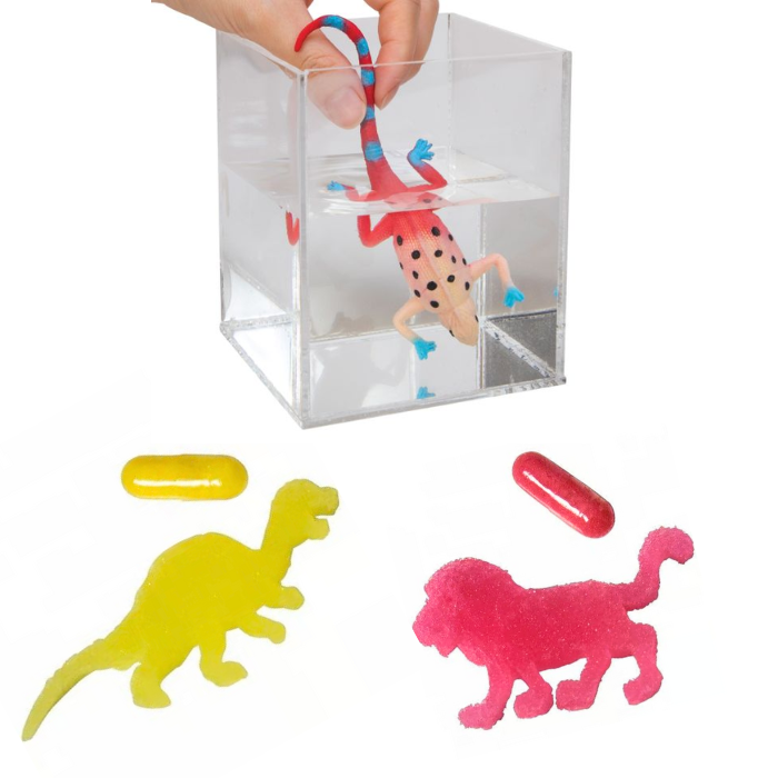 Water Toys - Outdoor Play - Toys - Buy at Into The Wind Kites