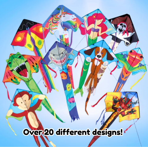 Easy Flyer Delta Kite - Buy at Into The Wind Kites