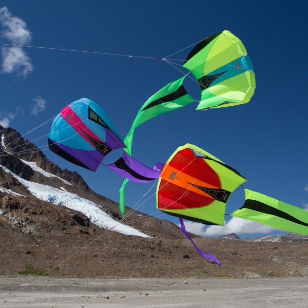 Prism Bora 7 Parafoil Kite - Buy at Into The Wind Kites